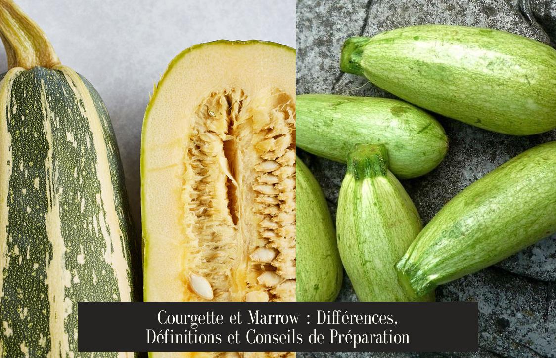 Courgette et Marrow : Différences, Définitions et Conseils de ...