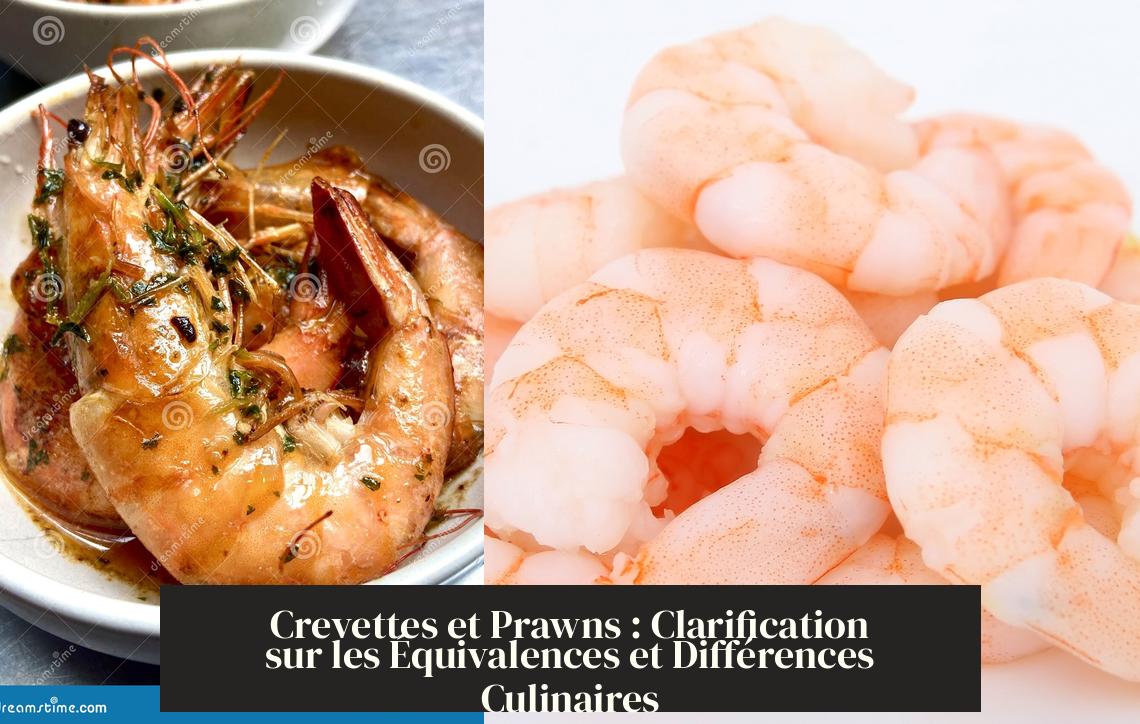 Crevettes et Prawns : Clarification sur les Équivalences et Différences ...