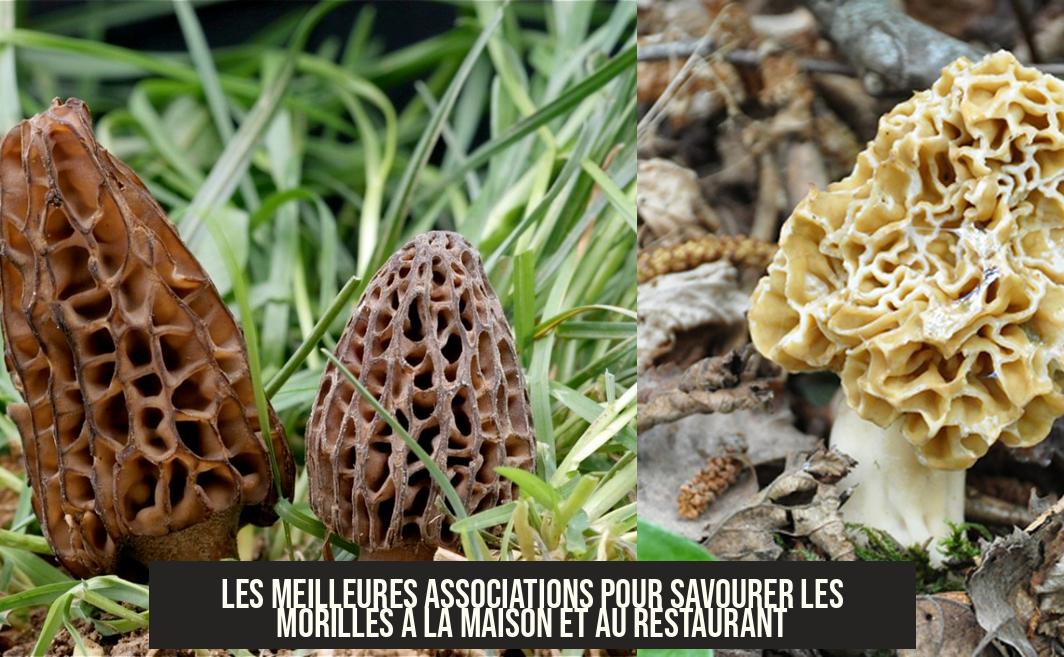Les meilleures associations pour savourer les morilles à la maison et ...
