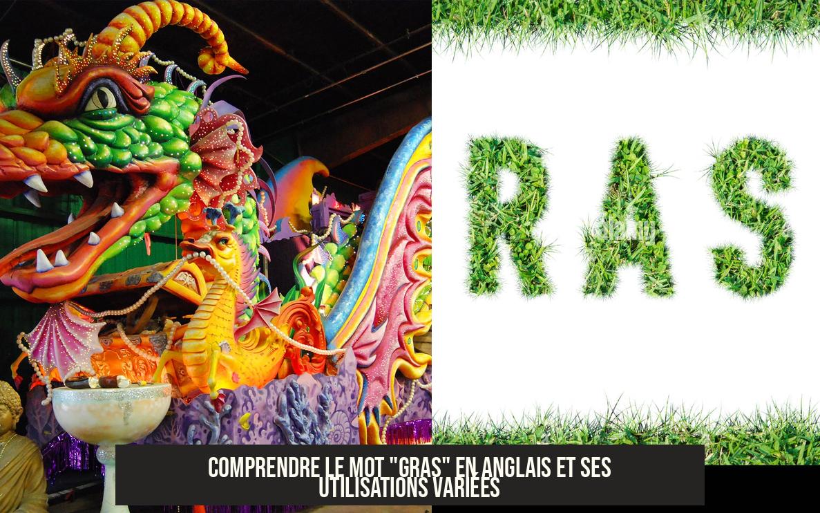 Comprendre le mot "gras" en anglais et ses utilisations variées ...