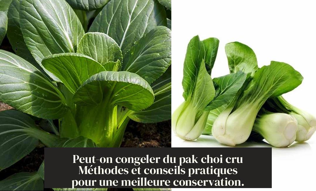 Peut-on congeler du pak choi cru ? Méthodes et conseils pratiques pour ...