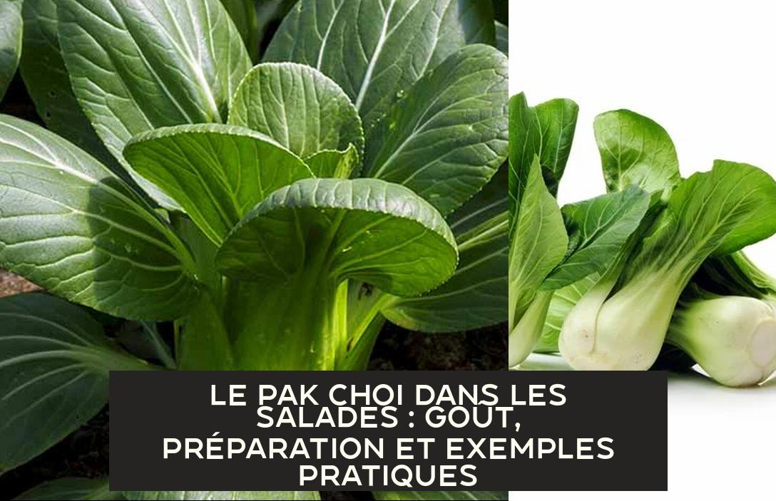 Le pak choi dans les salades : goût, préparation et exemples pratiques ...