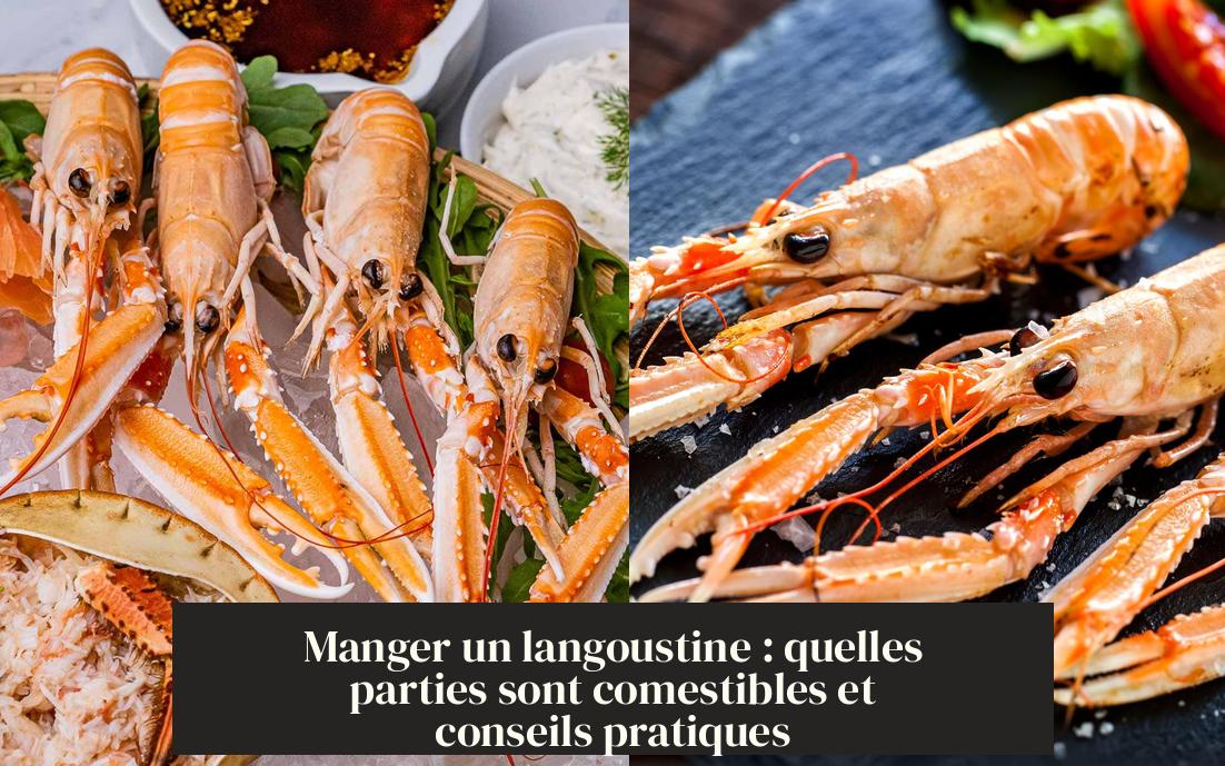 Manger un langoustine : quelles parties sont comestibles et conseils ...