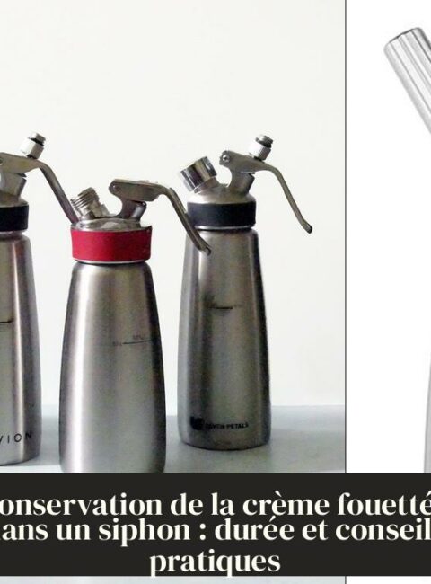 Conservation de la chantilly dans un siphon : Durée et méthodes ...