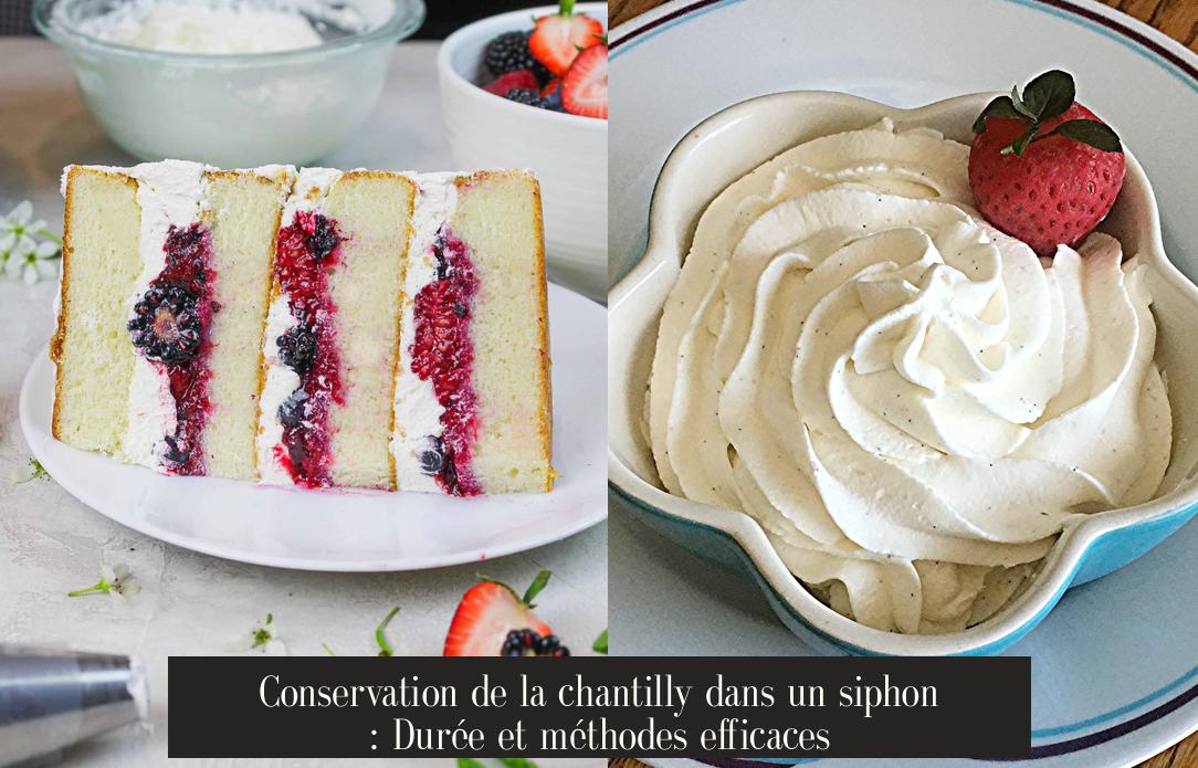 Conservation de la chantilly dans un siphon : Durée et méthodes ...