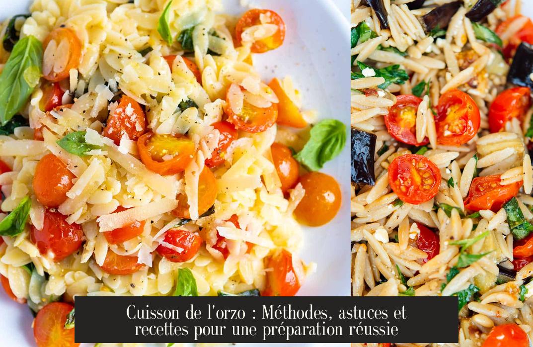 Cuisson de l'orzo : Méthodes, astuces et recettes pour une préparation ...