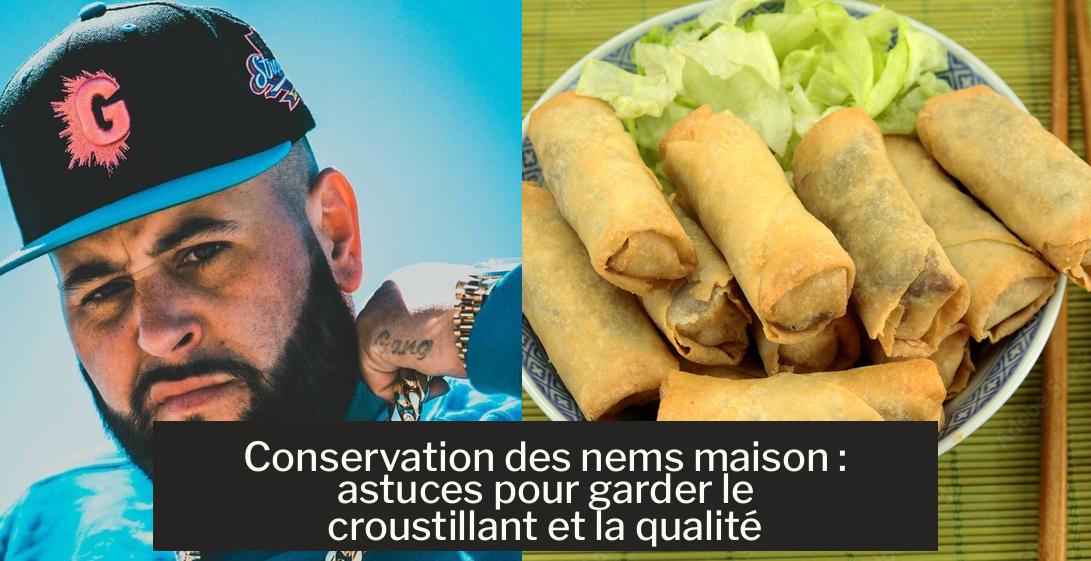 Conservation des nems maison : astuces pour garder le croustillant et ...