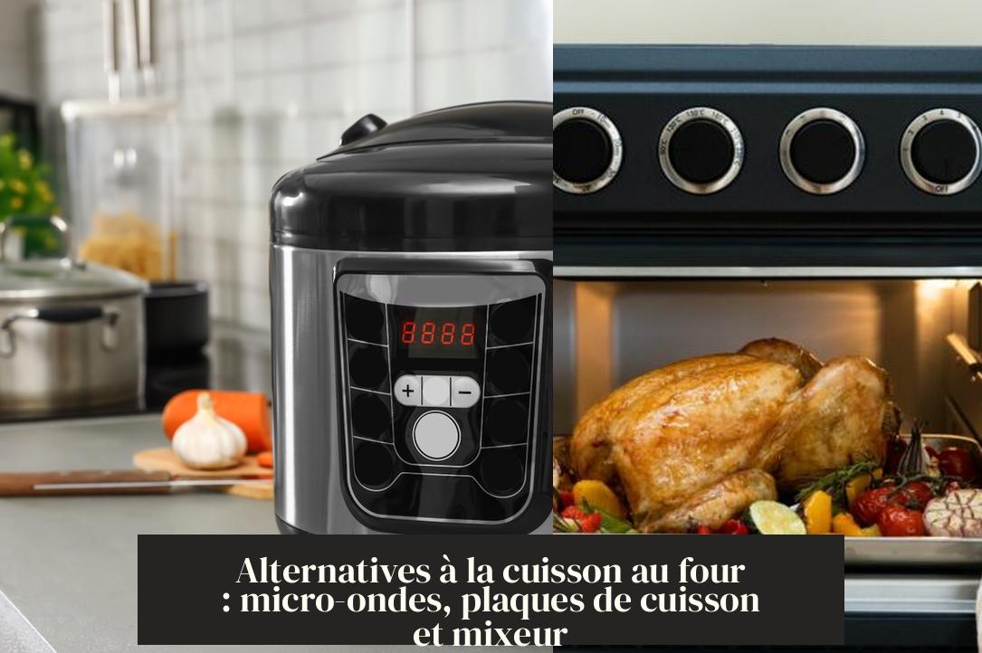 Alternatives à la cuisson au four : micro-ondes, plaques de cuisson et ...