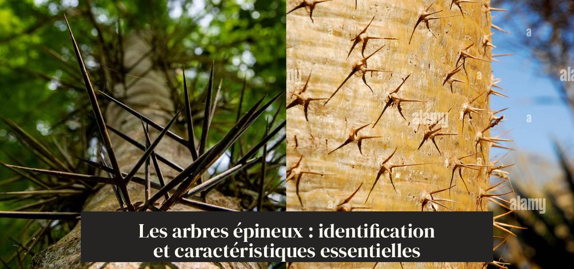 Les arbres épineux : identification et caractéristiques essentielles ...