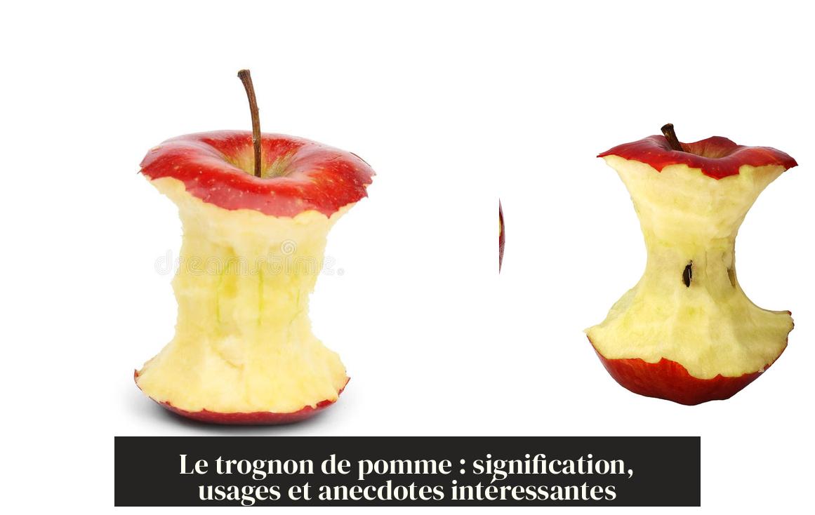 Le trognon de pomme : signification, usages et anecdotes intéressantes ...