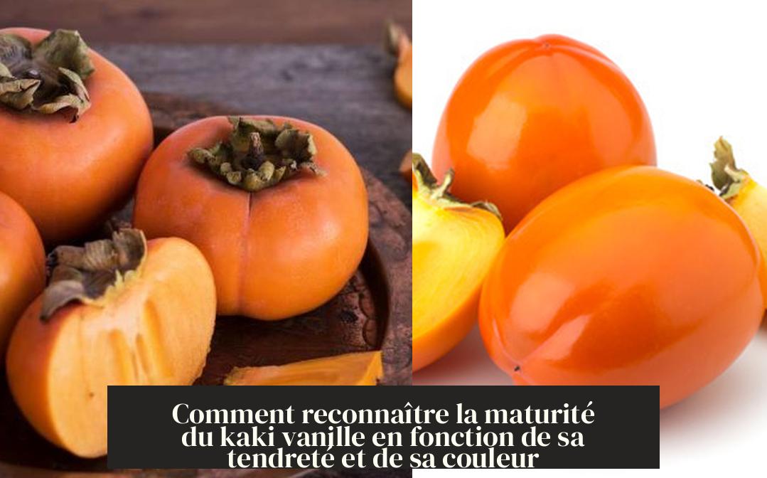 Comment reconnaître la maturité du kaki vanille en fonction de sa ...