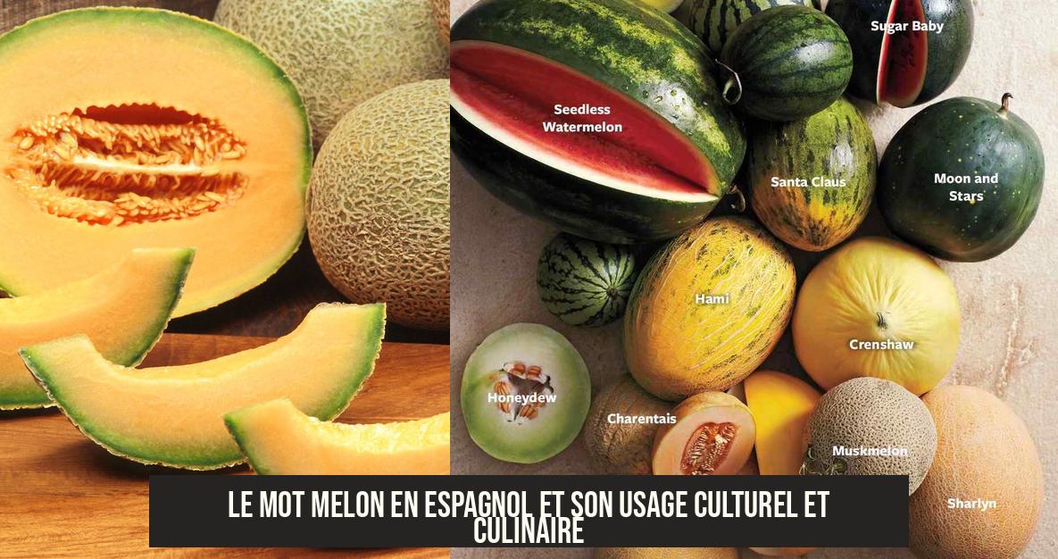 Le mot melon en espagnol et son usage culturel et culinaire | Carrée ...