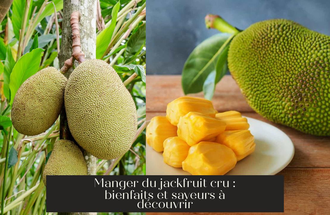 Manger du jackfruit cru : bienfaits et saveurs à découvrir | Carrée ...