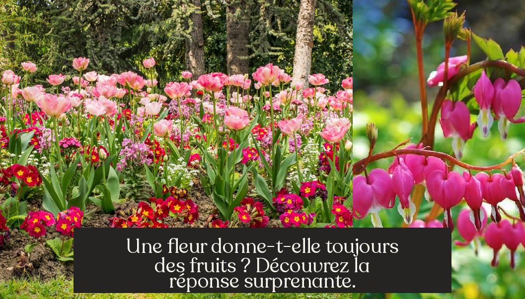 Une fleur donne-t-elle toujours des fruits ? Découvrez la réponse ...