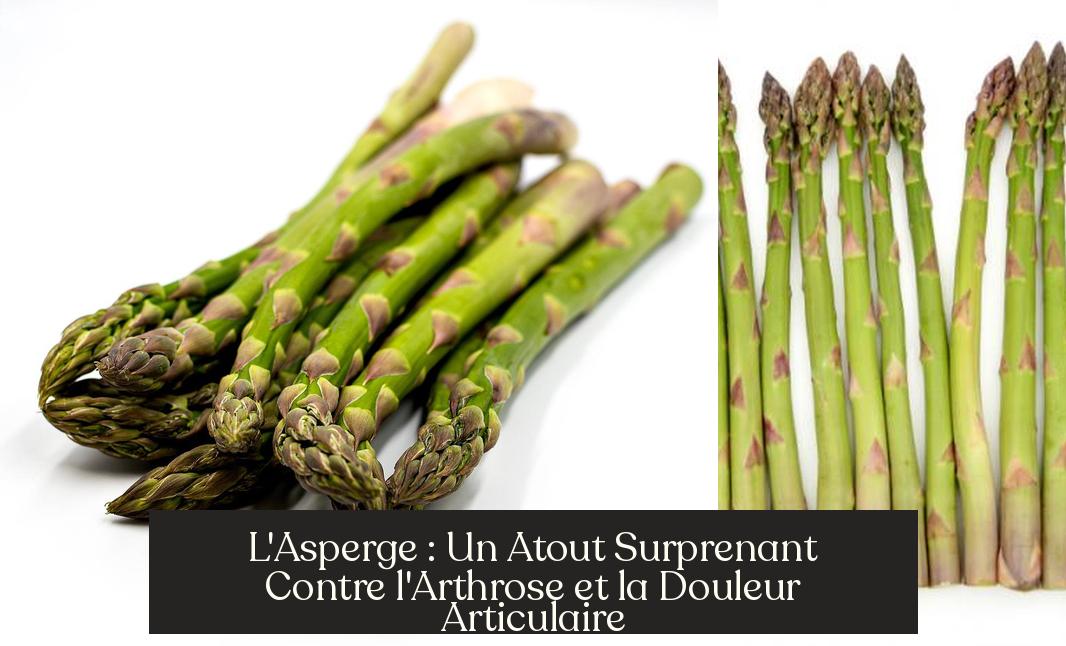 L'Asperge : Un Atout Surprenant Contre l'Arthrose et la Douleur ...