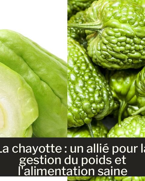 La composition de la fressure : Tout savoir sur ce délice méconnu et ...