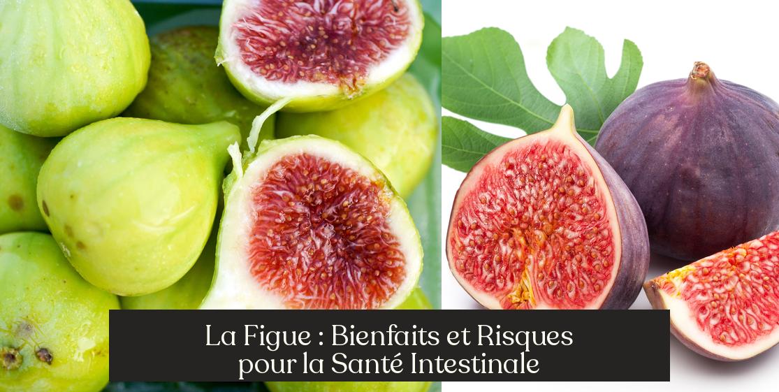 La Figue : Bienfaits et Risques pour la Santé Intestinale | Carrée ...