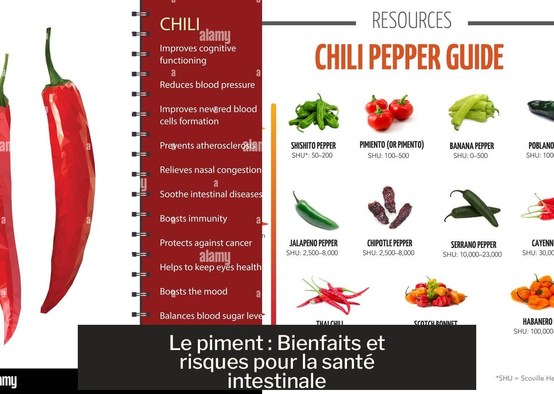 Le piment : Bienfaits et risques pour la santé intestinale | Carrée ...