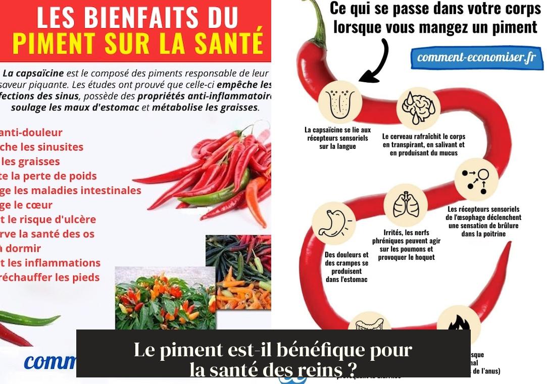 Le piment est-il bénéfique pour la santé des reins ? | Carrée ...