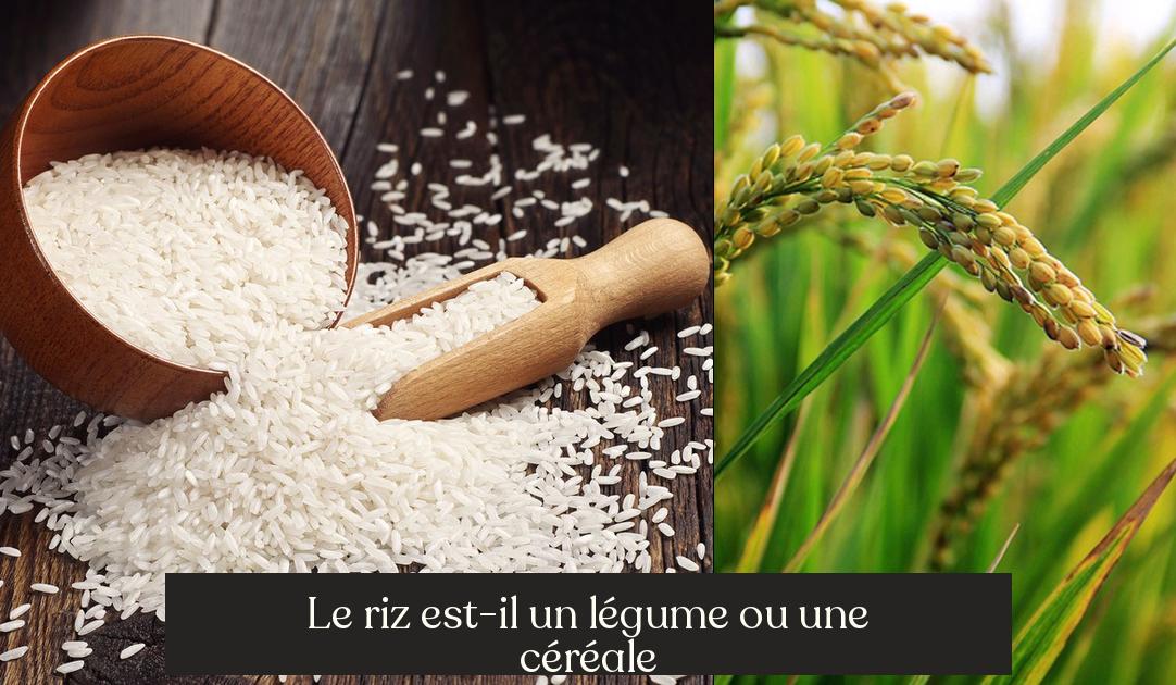 Le riz est-il un légume ou une céréale ? | Carrée | Recettes du Monde ...