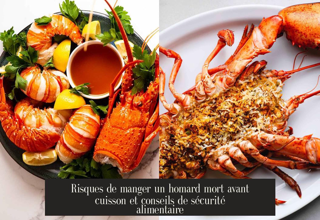 Risques de manger un homard mort avant cuisson et conseils de sécurité ...