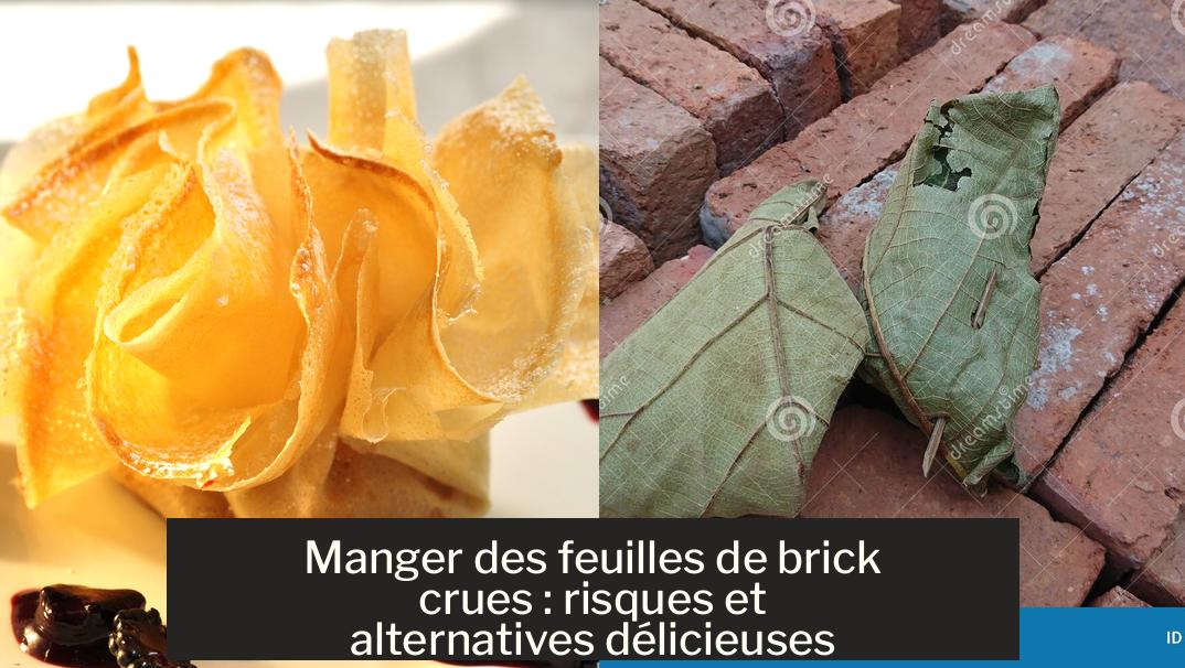Manger des feuilles de brick crues : risques et alternatives ...