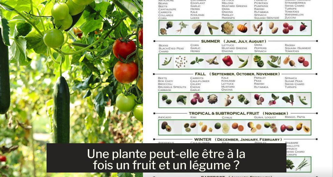 Une plante peut-elle être à la fois un fruit et un légume ? | Carrée ...