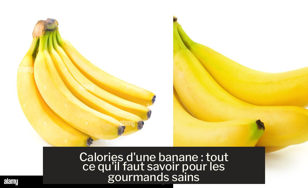 Calories d'une banane : tout ce qu'il faut savoir pour les gourmands ...