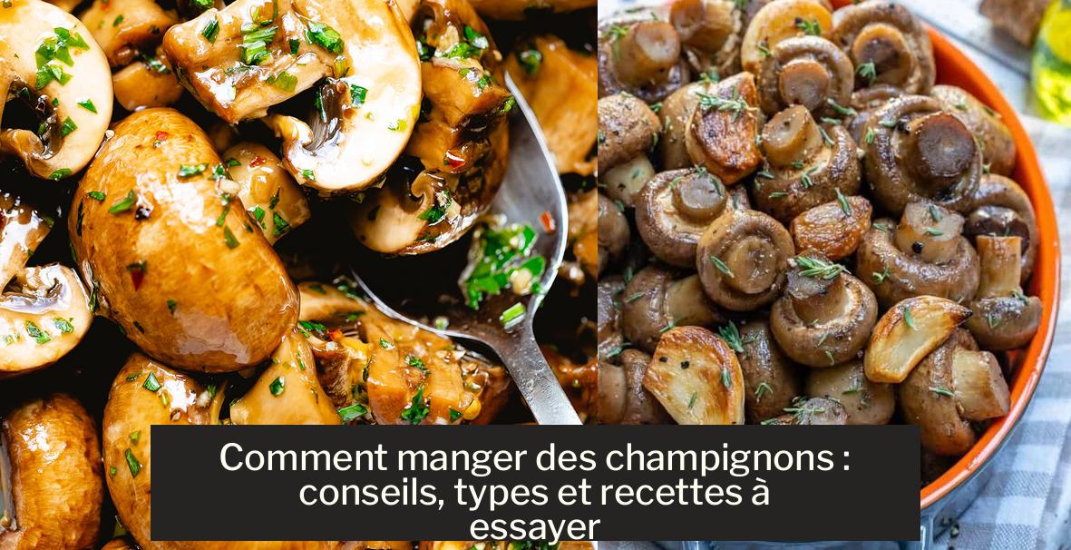 Comment manger des champignons : conseils, types et recettes à essayer ...