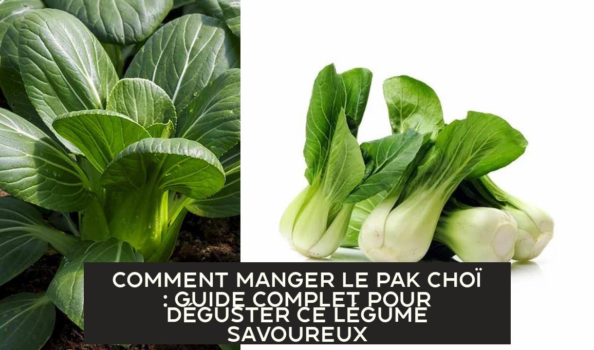 Comment Manger le Pak Choï : Guide Complet pour Déguster ce Légume ...