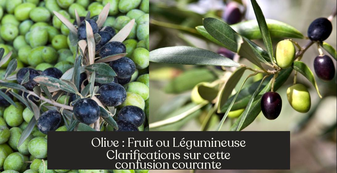Olive : Fruit ou Légumineuse ? Clarifications sur cette confusion ...