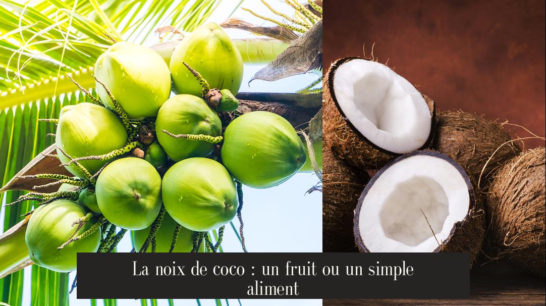 La noix de coco : un fruit ou un simple aliment ? | Carrée | Recettes ...