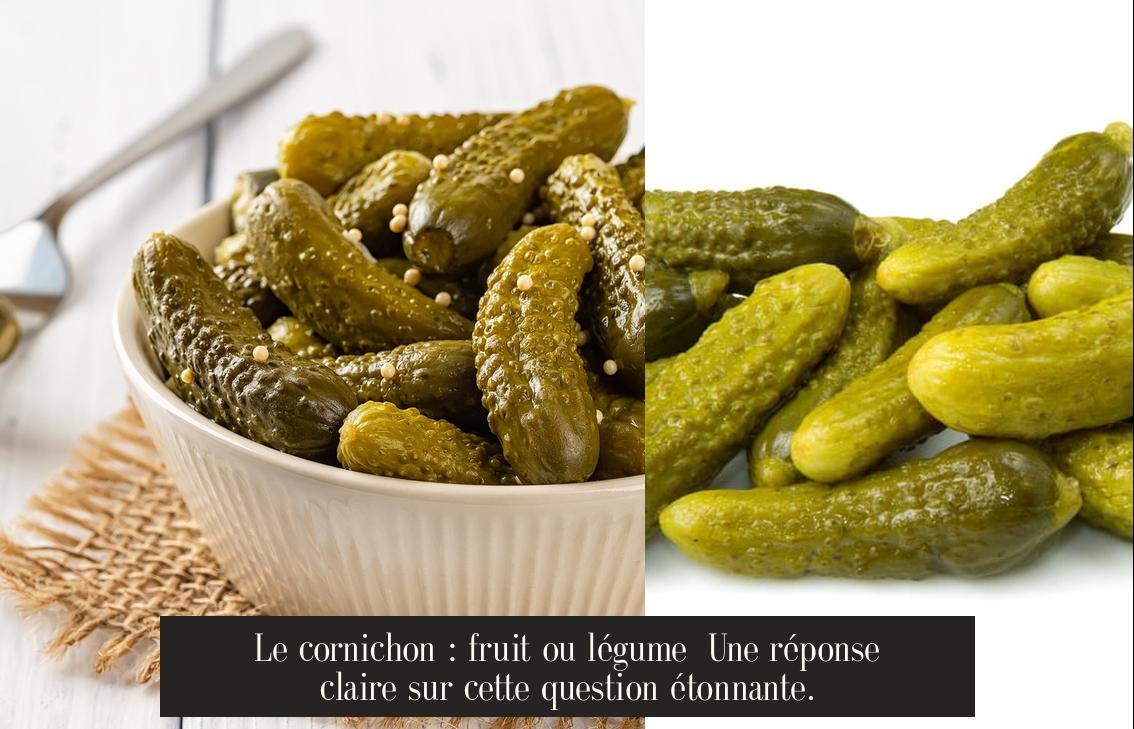 Le cornichon : fruit ou légume ? Une réponse claire sur cette question ...