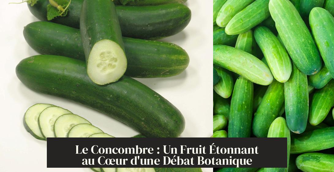 Le Concombre : Un Fruit Étonnant au Cœur d'une Débat Botanique | Carrée ...