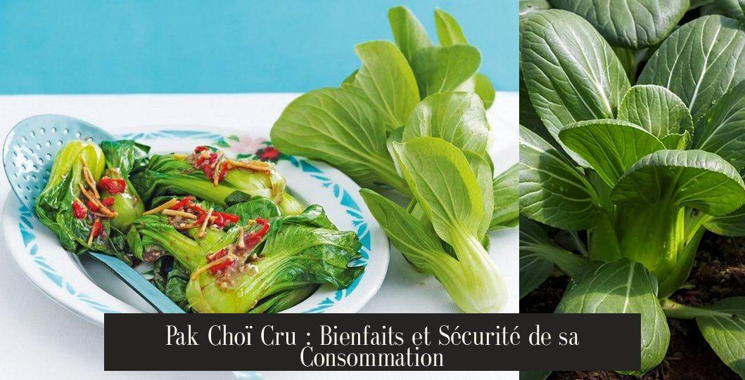 Pak Choï Cru : Bienfaits et Sécurité de sa Consommation | Carrée ...