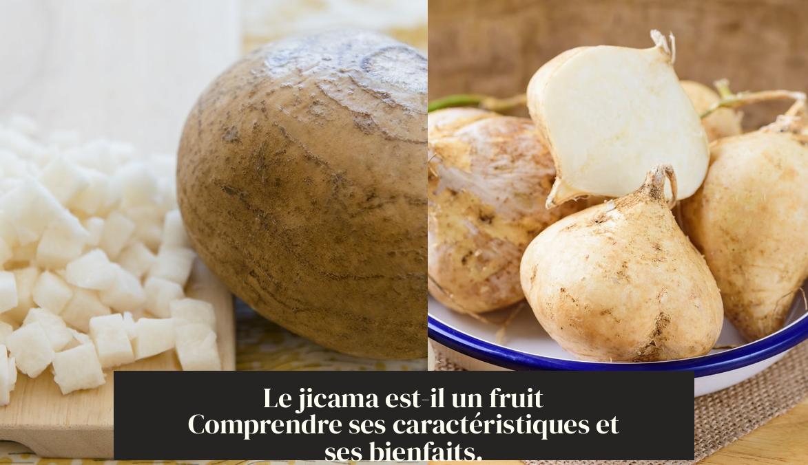 Le jicama est-il un fruit ? Comprendre ses caractéristiques et ses ...