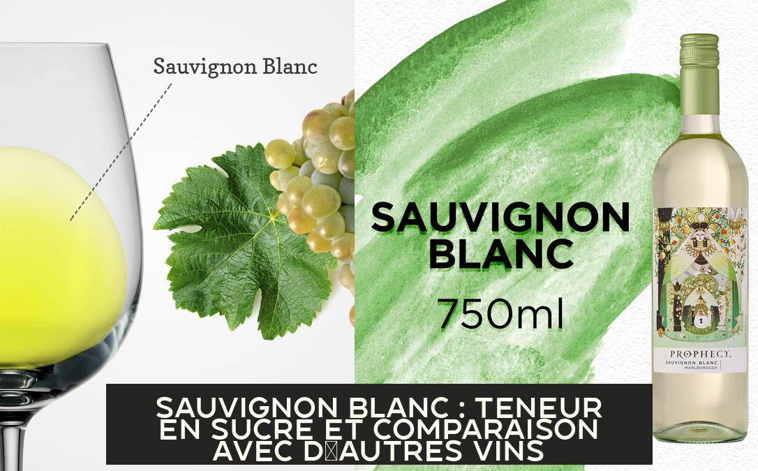 Sauvignon Blanc : Teneur en sucre et comparaison avec d'autres vins ...
