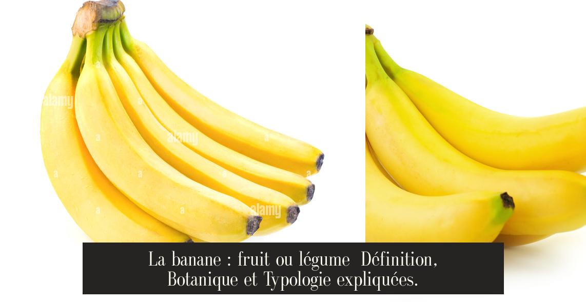 La banane : fruit ou légume ? Définition, Botanique et Typologie ...