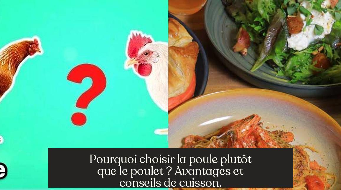 Pourquoi choisir la poule plutôt que le poulet ? Avantages et conseils ...