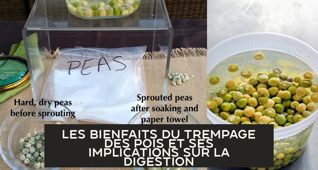 Les bienfaits du trempage des pois et ses implications sur la digestion ...