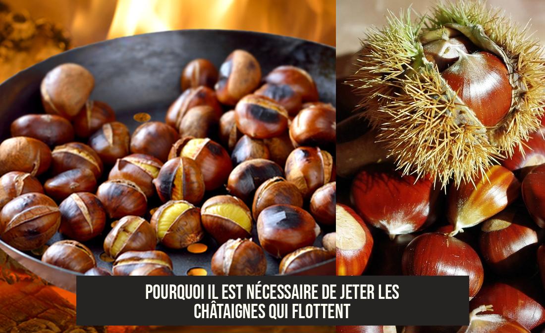 Pourquoi il est nécessaire de jeter les châtaignes qui flottent ...