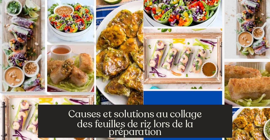 Causes et solutions au collage des feuilles de riz lors de la ...