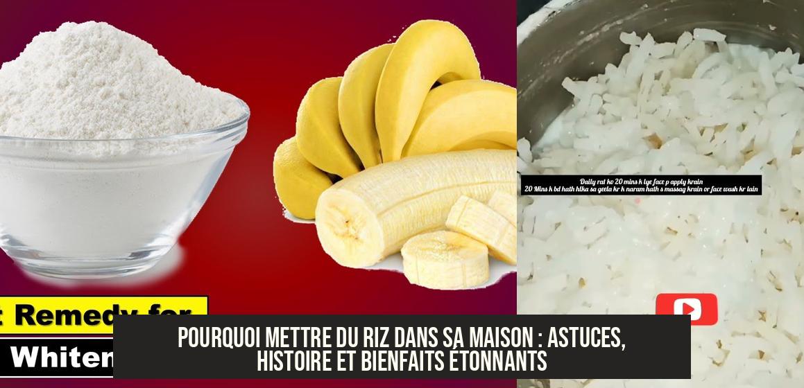 Pourquoi Mettre du Riz Dans Sa Maison : Astuces, Histoire et Bienfaits ...