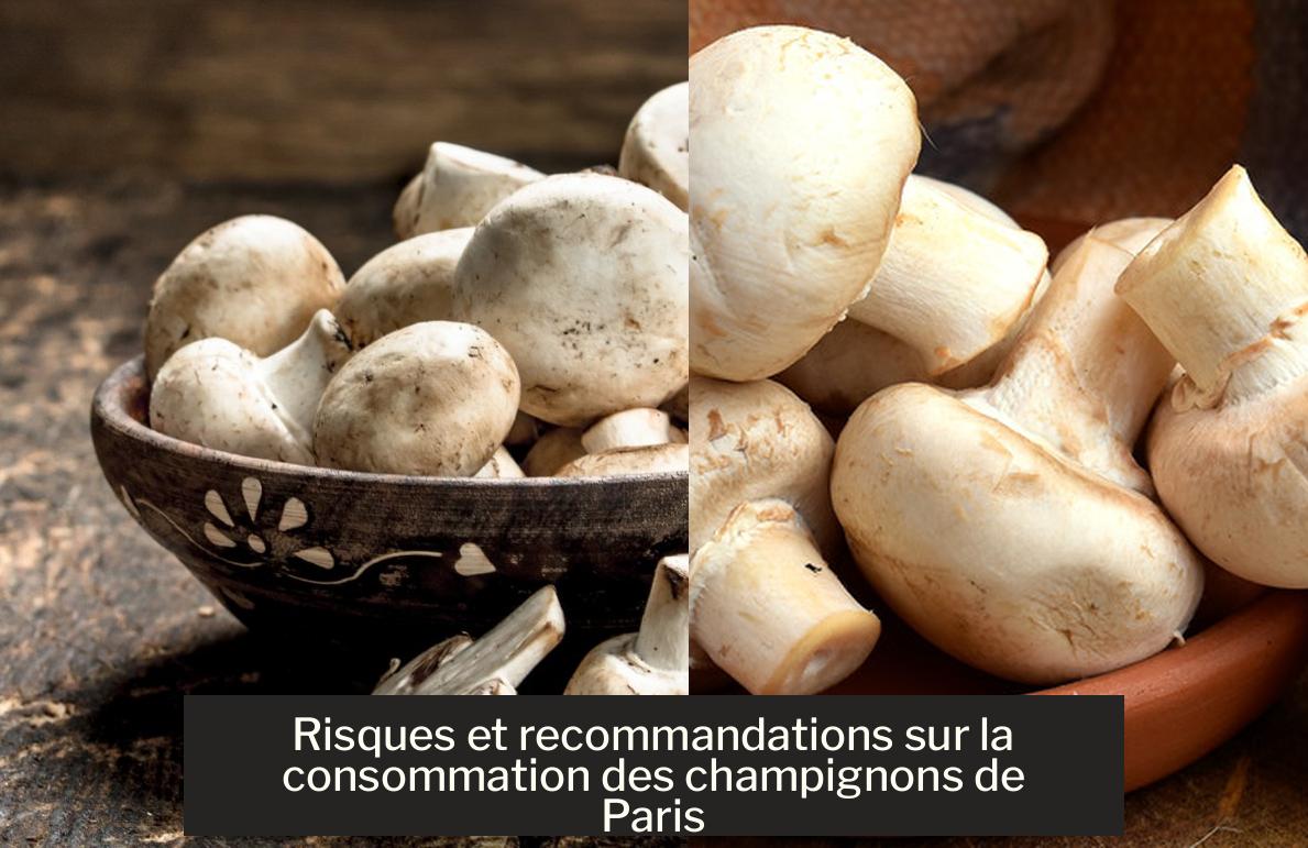 Risques et recommandations sur la consommation des champignons de Paris ...