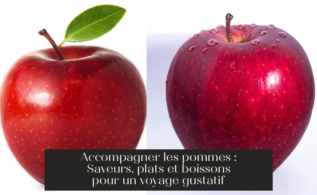 Accompagner les pommes : Saveurs, plats et boissons pour un voyage ...