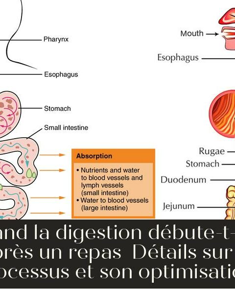 La Vache qui rit : un fromage à la crème ou pas ? | Carrée | Recettes ...
