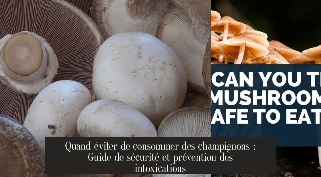 Quand éviter de consommer des champignons : Guide de sécurité et ...