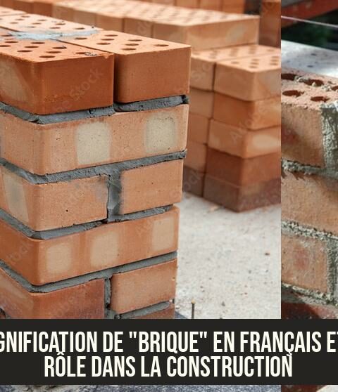 Le processus de transformation de la fleur en fruit explique son ...