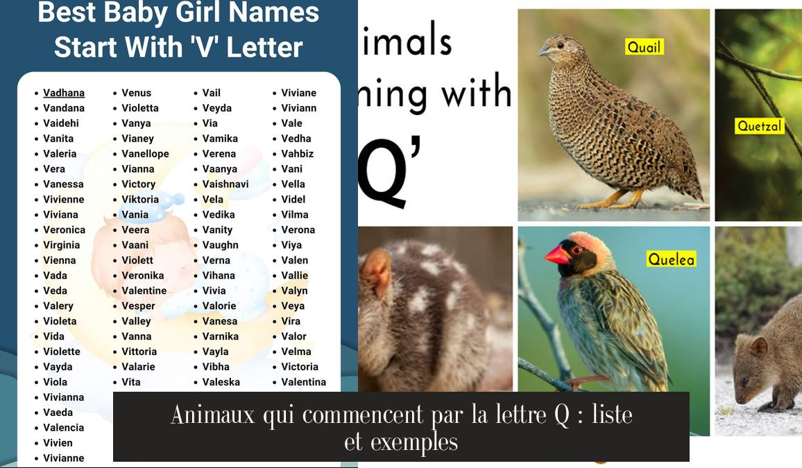 Animaux qui commencent par la lettre Q : liste et exemples | Carrée ...
