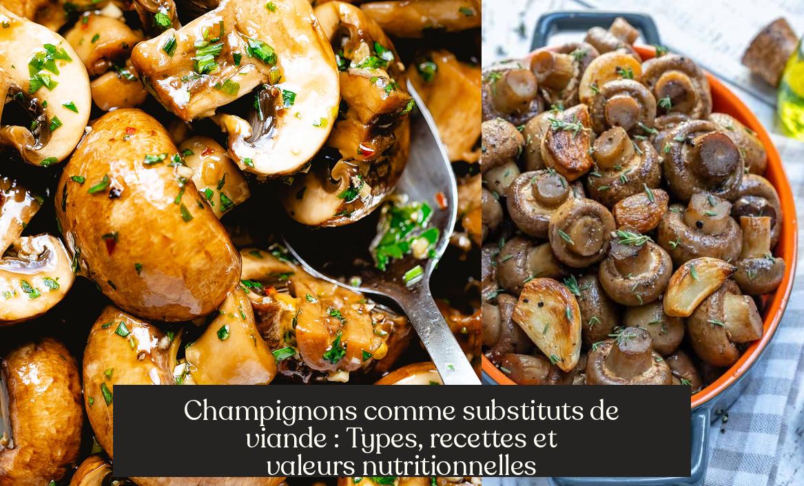 Champignons comme substituts de viande : Types, recettes et valeurs ...